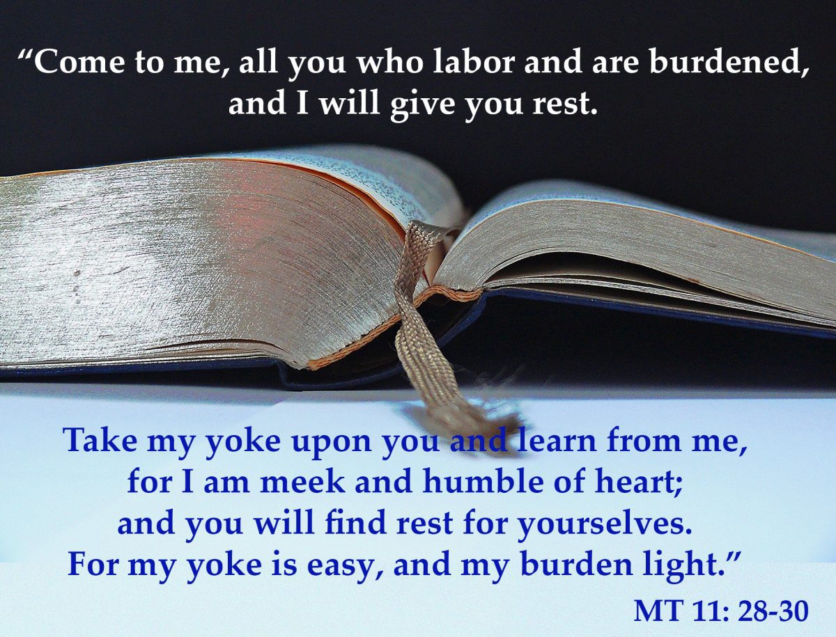 biblescripture – Holy Faith Catholic Church